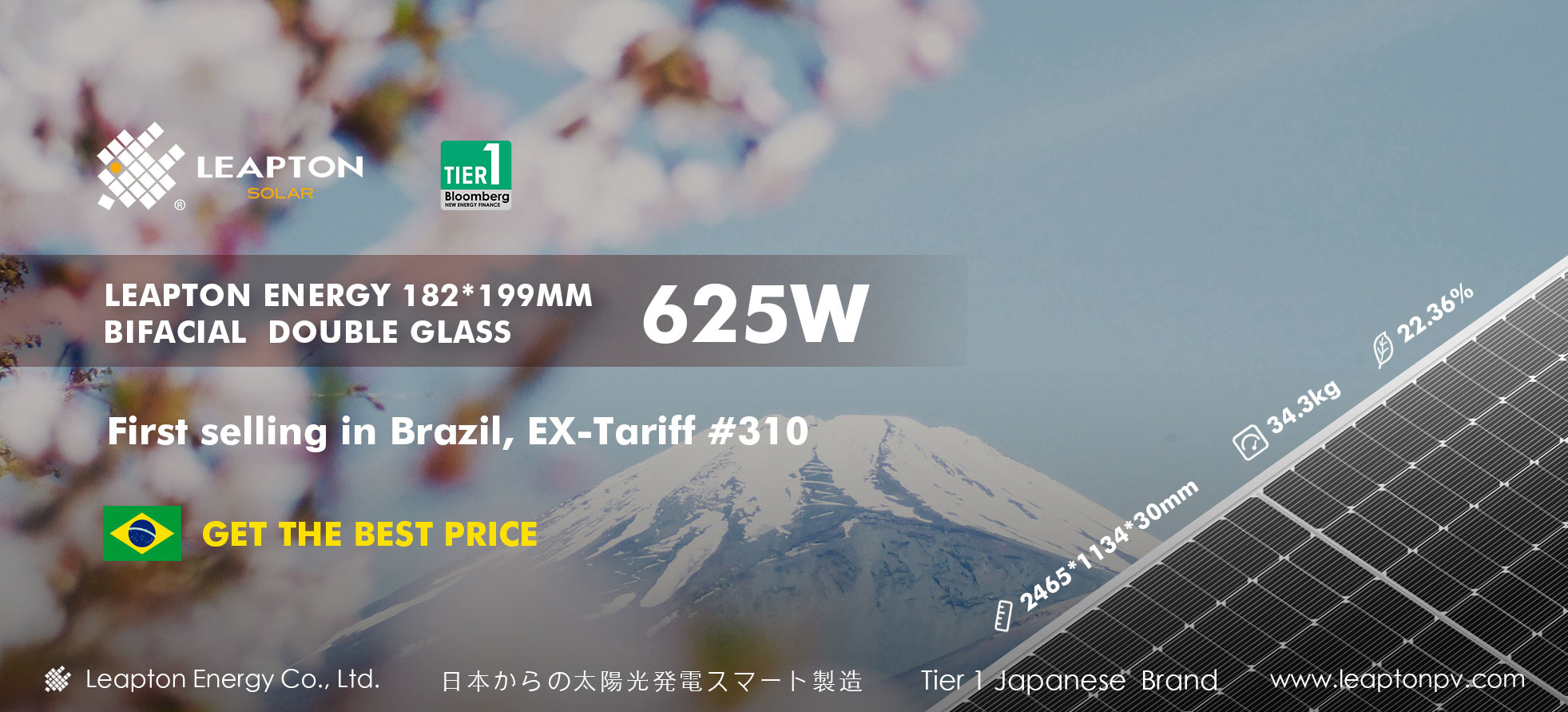 Leapton Energy|Leapton Solar|Leapton-Leapton Energy